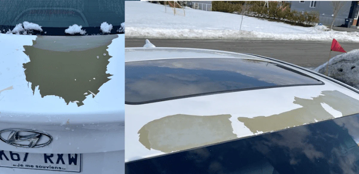 Paint Probs: Quebec Hyundai Elantra owner files class action for ...