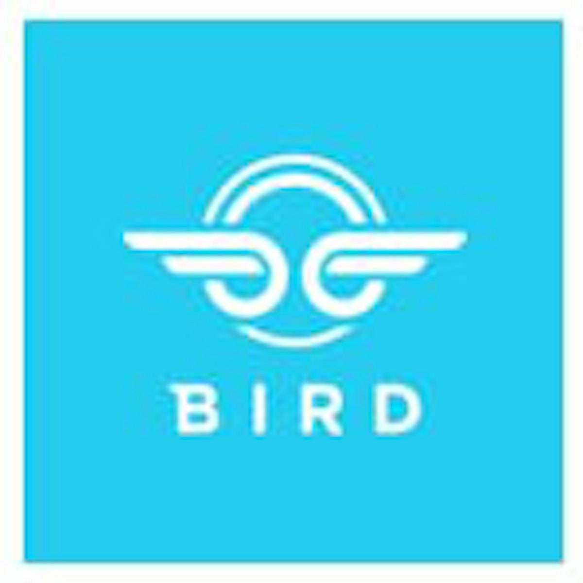 Bird Appoints John Bitove Chairperson of the Board of Directors ...