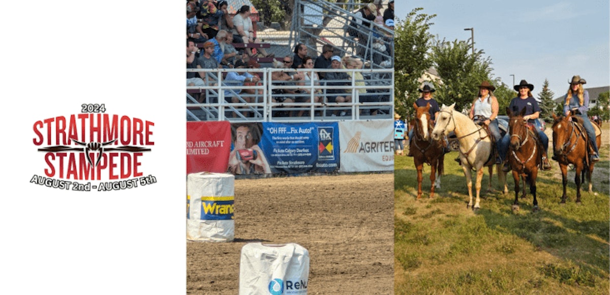 Running With the Bulls: Fix Auto Strathmore and Fix Auto Deerfoot ...