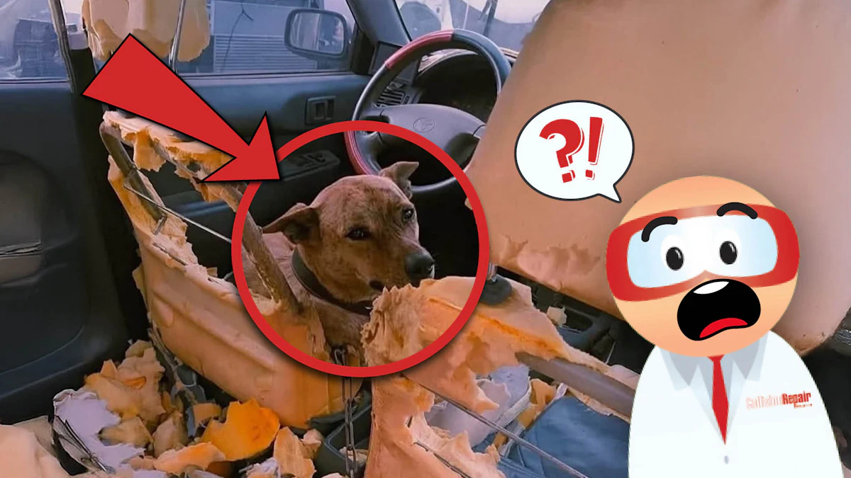 Can You Believe This?! Dogs destroy vehicles, ride in failed patents ...